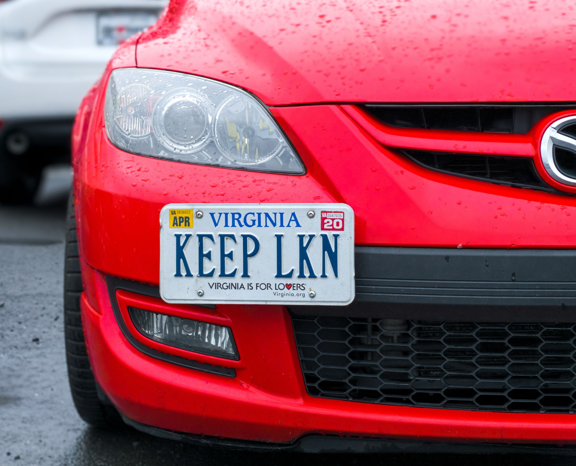 Pixeled Plates - Personalized License Plates - Vanity Plates